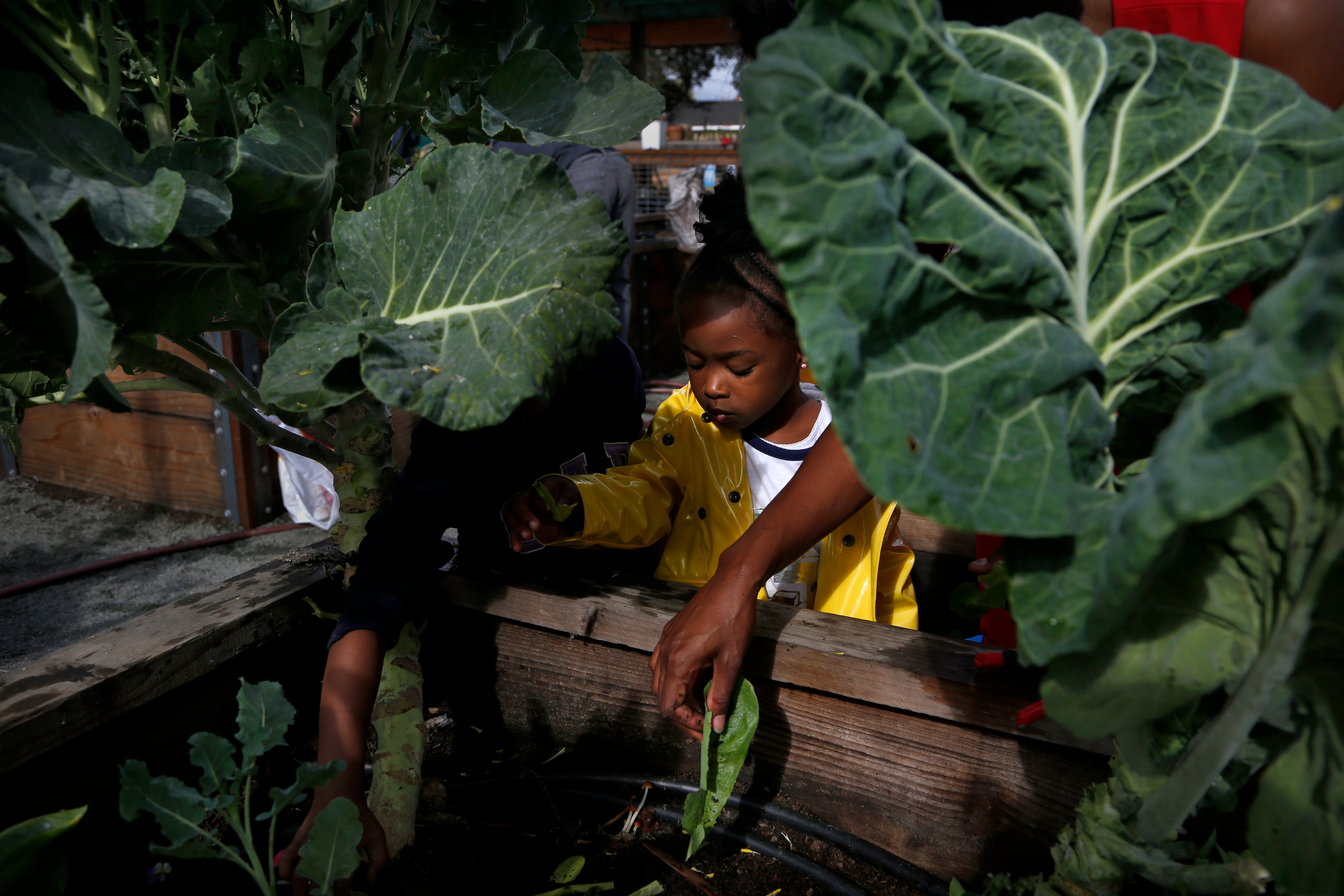 Farms of West Oakland — preston gannaway
