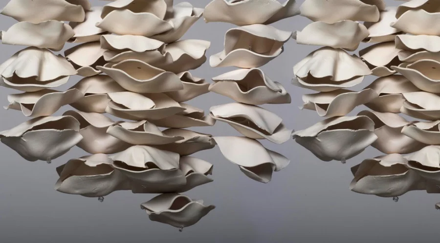 Susan Card — DISH GALLERY + Studio