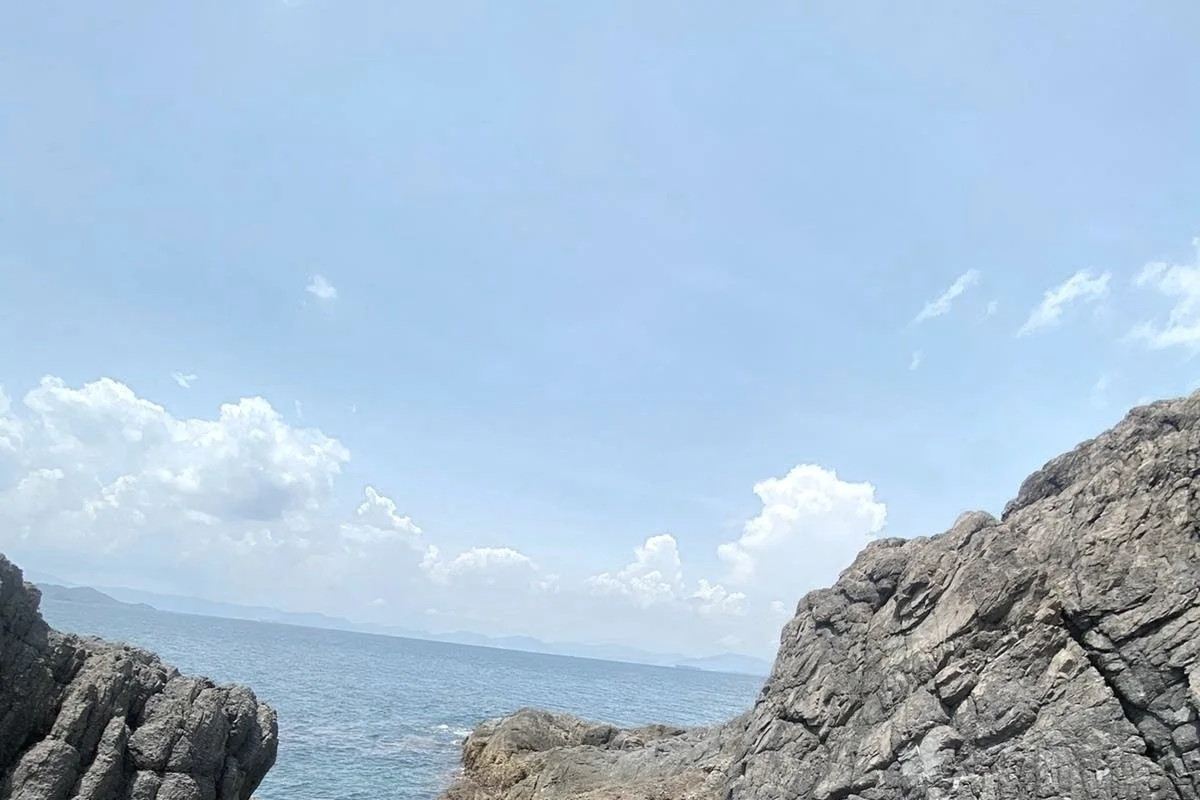 Belly & Bloom® Postnatal Wellness