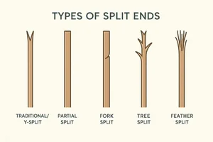 The Science of Split Ends: Causes and Prevention - All About Salon