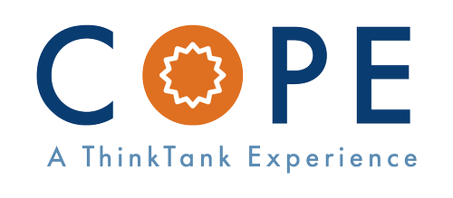 The Virtual Cost of Poverty Experience (COPE) — ThinkTank