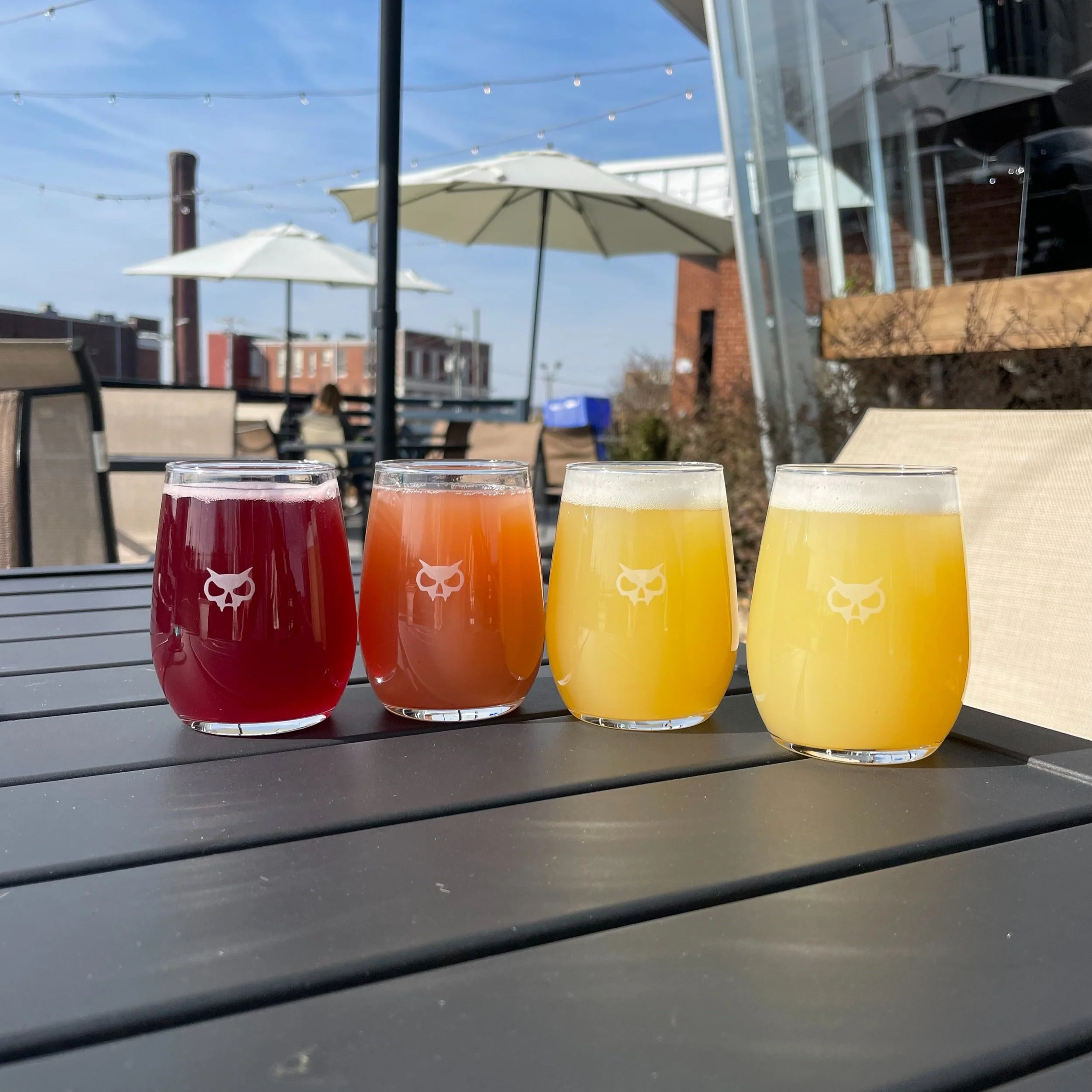 My Top Beers in November 2023 — Adventures & Ales