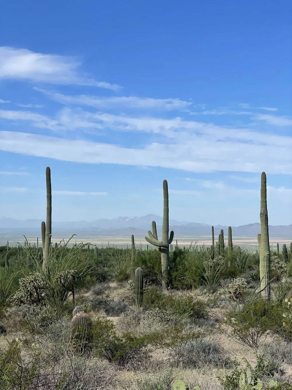 Tucson Beer and Travel Guide — Adventures & Ales