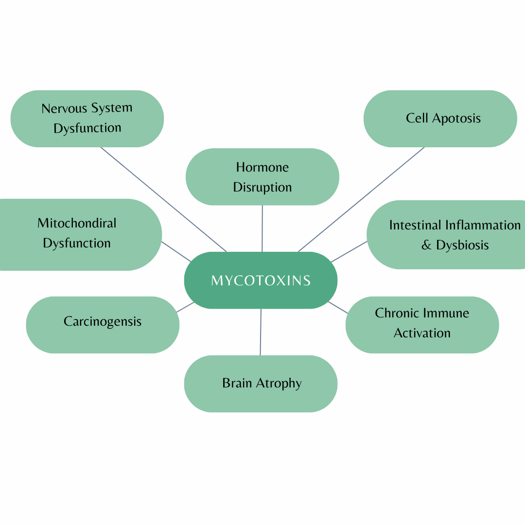 Renua Nutrition — Mould Illness