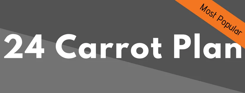 Repair & Professional Services for Interventional Labs - Carrot Medical ...