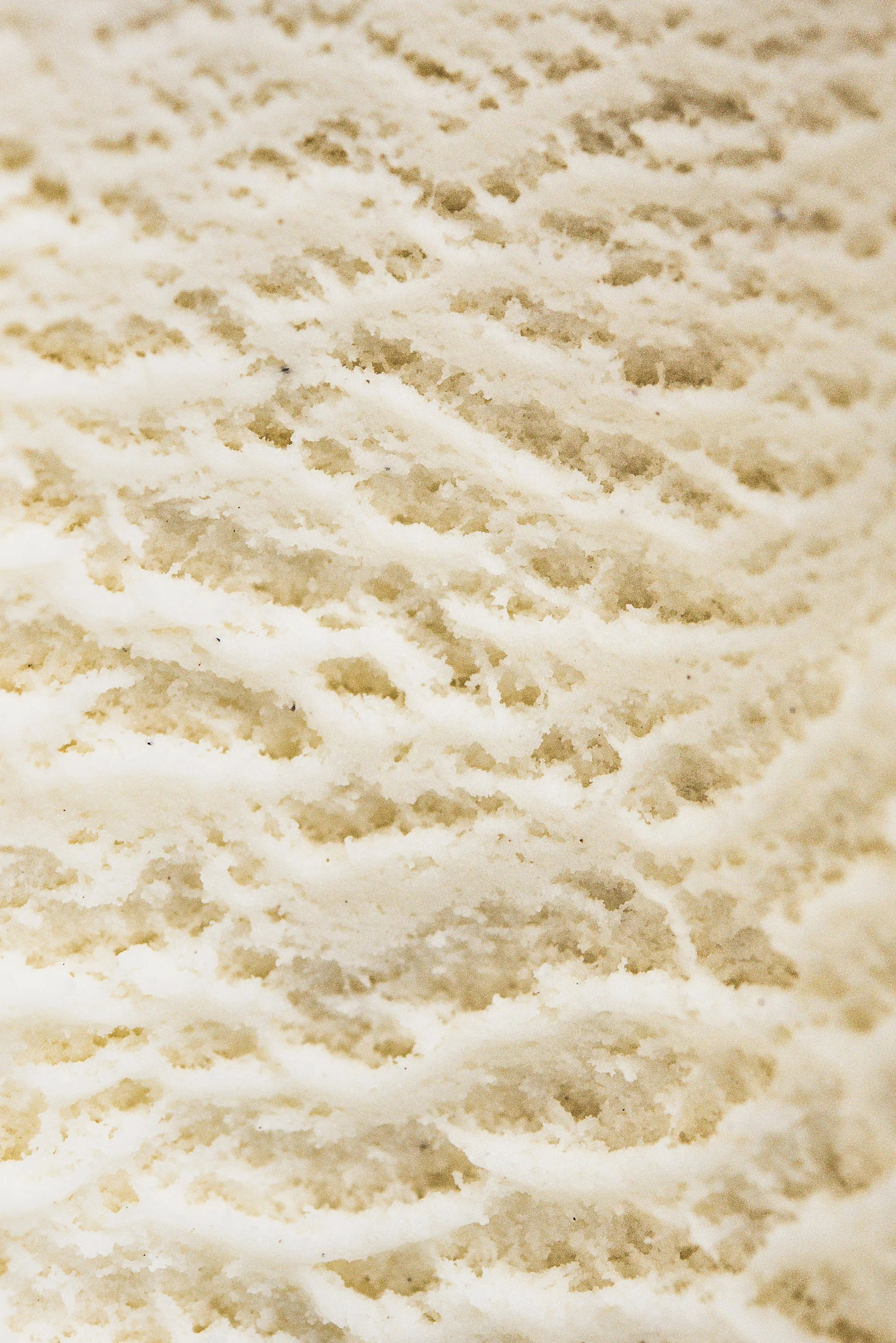 Food Photographer - Food Stylist - Prop Stylist - United States ...