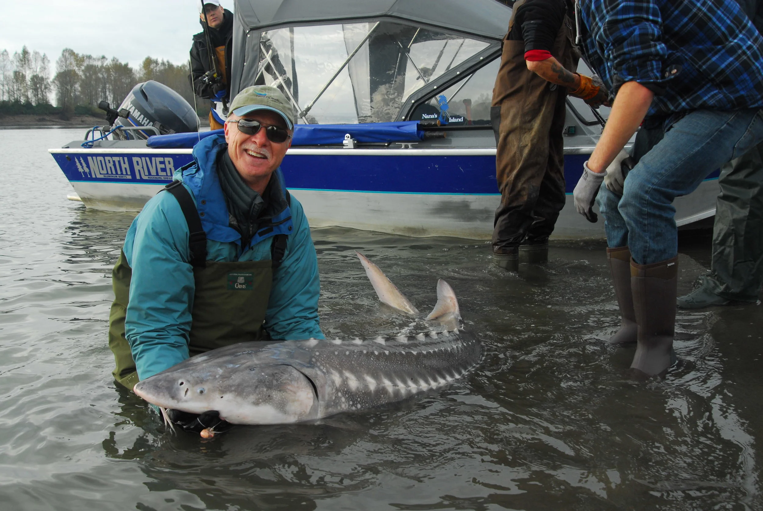 Gallery — Mark Angelo