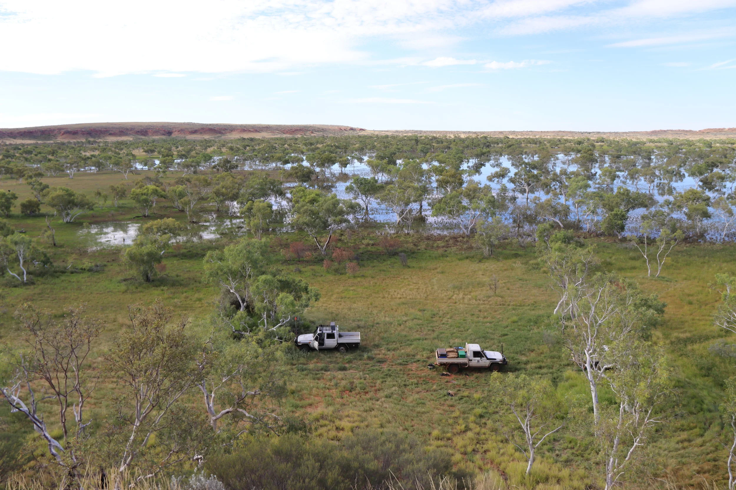 Meet Martu People — Kanyirninpa Jukurrpa