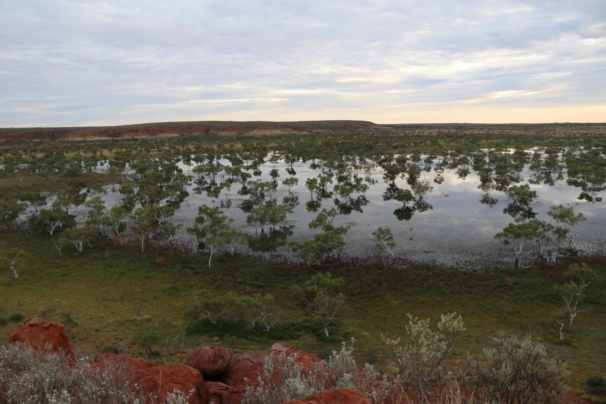 Why Martu country is special — Kanyirninpa Jukurrpa