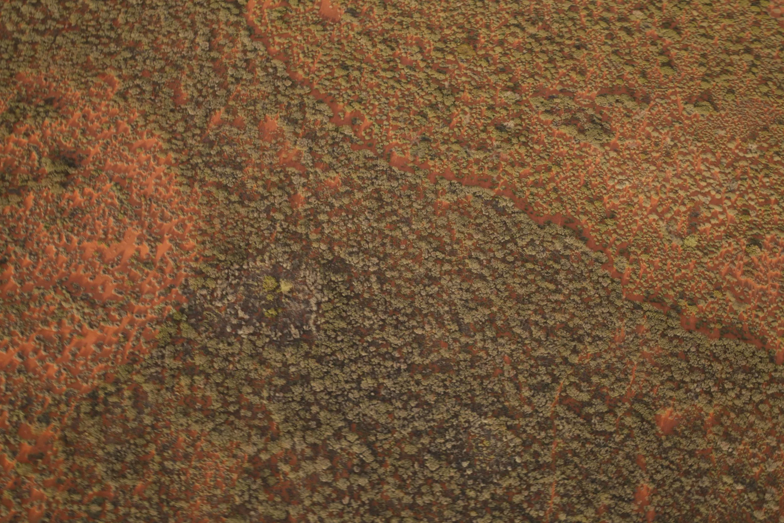 Why Martu country is special — Kanyirninpa Jukurrpa