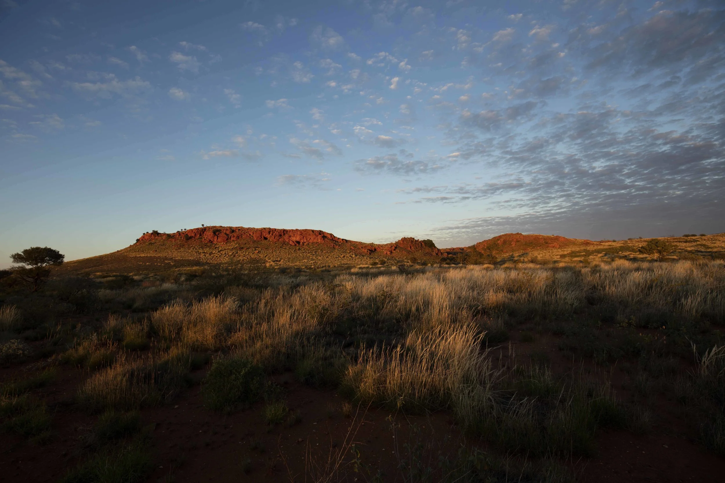 Why Martu country is special — Kanyirninpa Jukurrpa