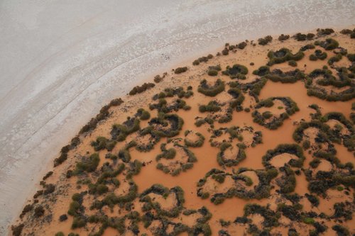 Why Martu country is special — Kanyirninpa Jukurrpa