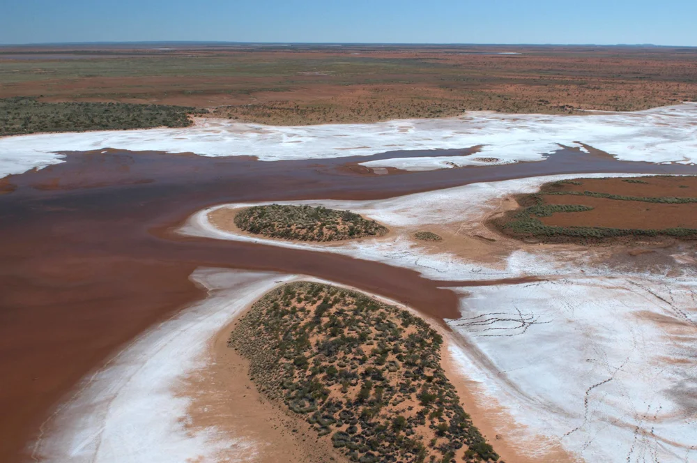Why Martu country is special — Kanyirninpa Jukurrpa
