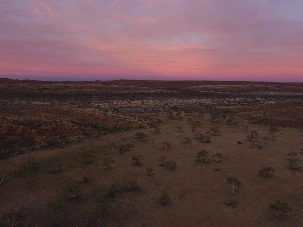 Why Martu country is special — Kanyirninpa Jukurrpa