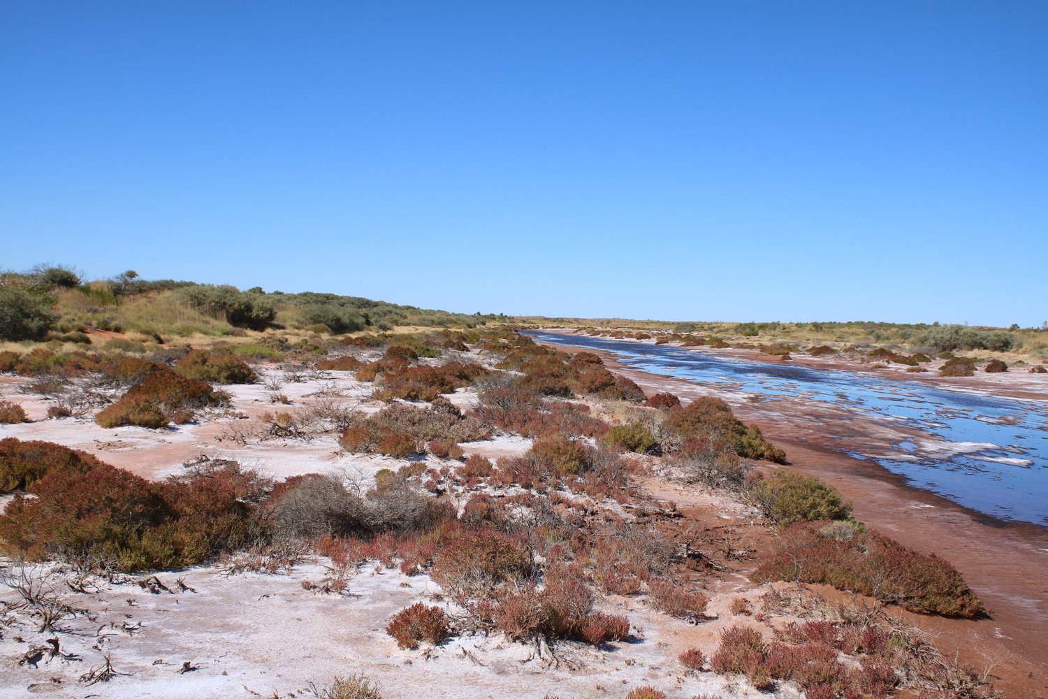 Meet our Elders — Kanyirninpa Jukurrpa