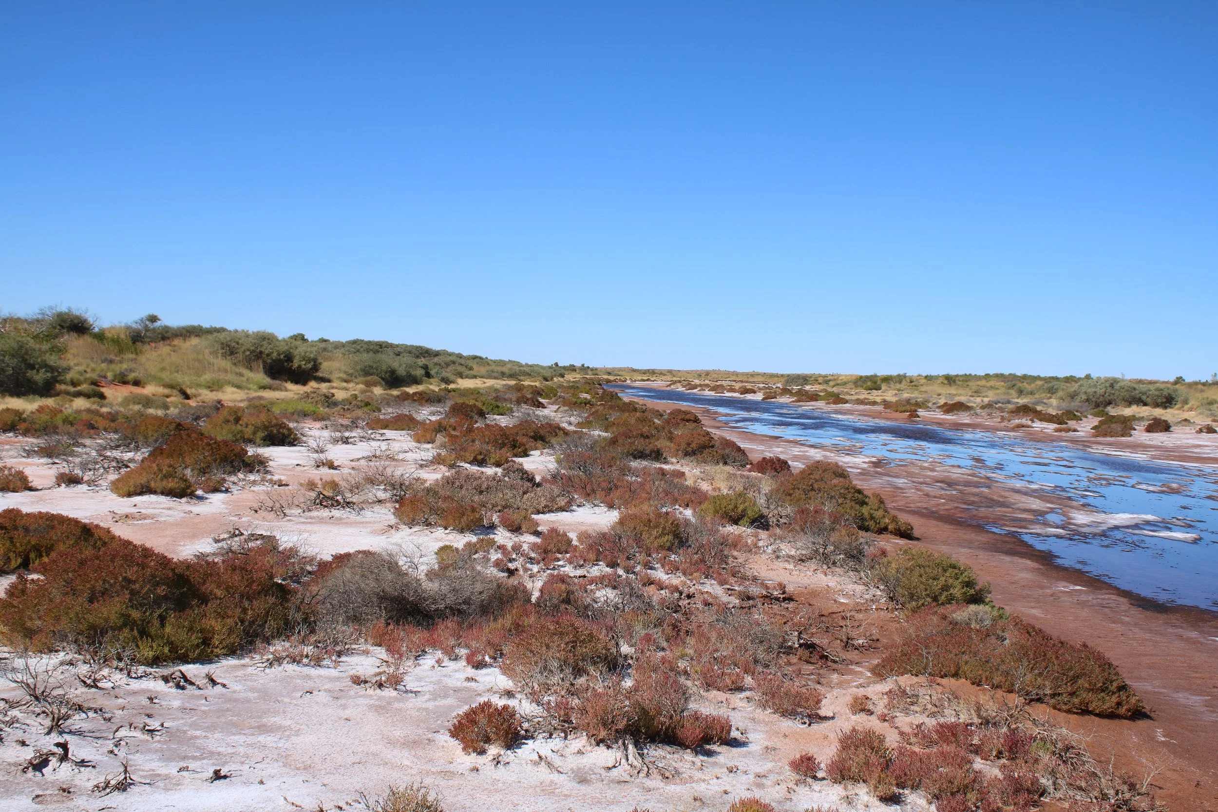 Meet our Elders — Kanyirninpa Jukurrpa