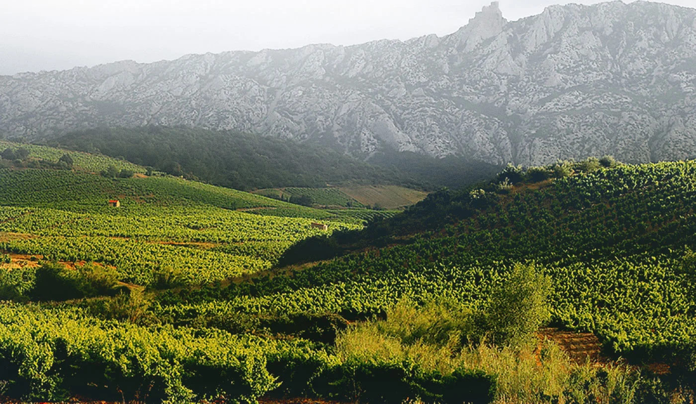 Maury | Région — Wine & Dessert