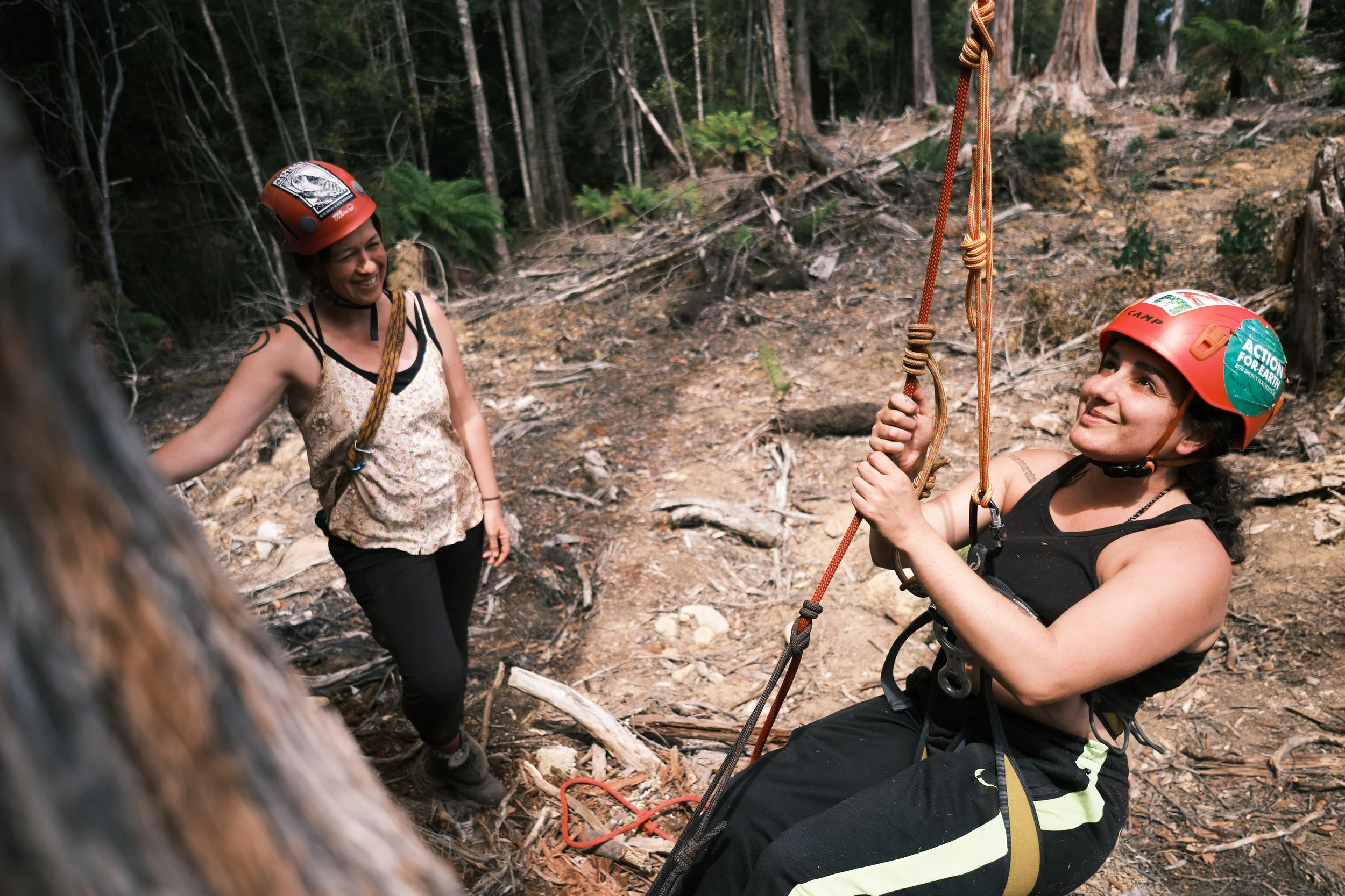 Invasion Day — Tim Cooper