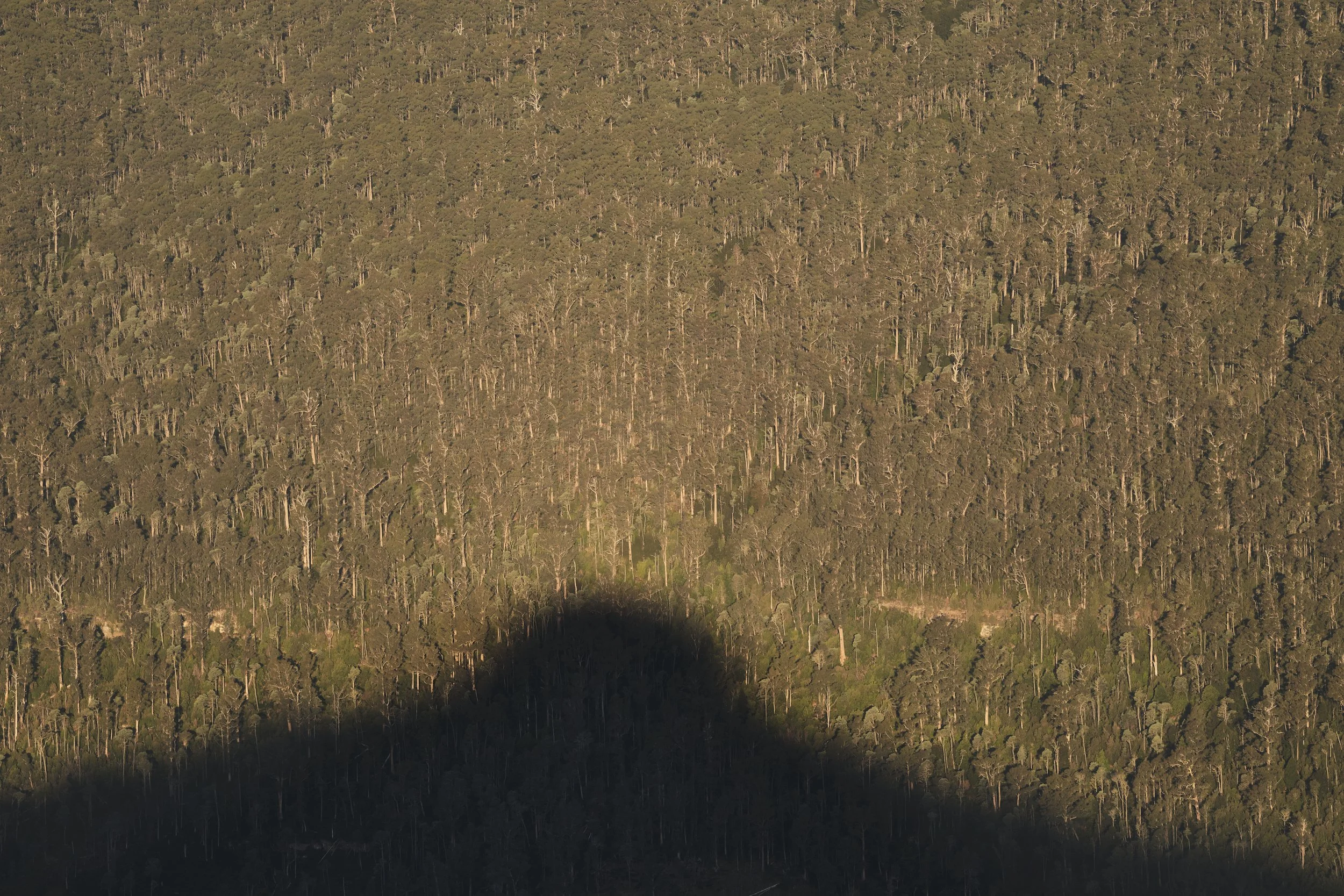 Between Layers — Tim Cooper