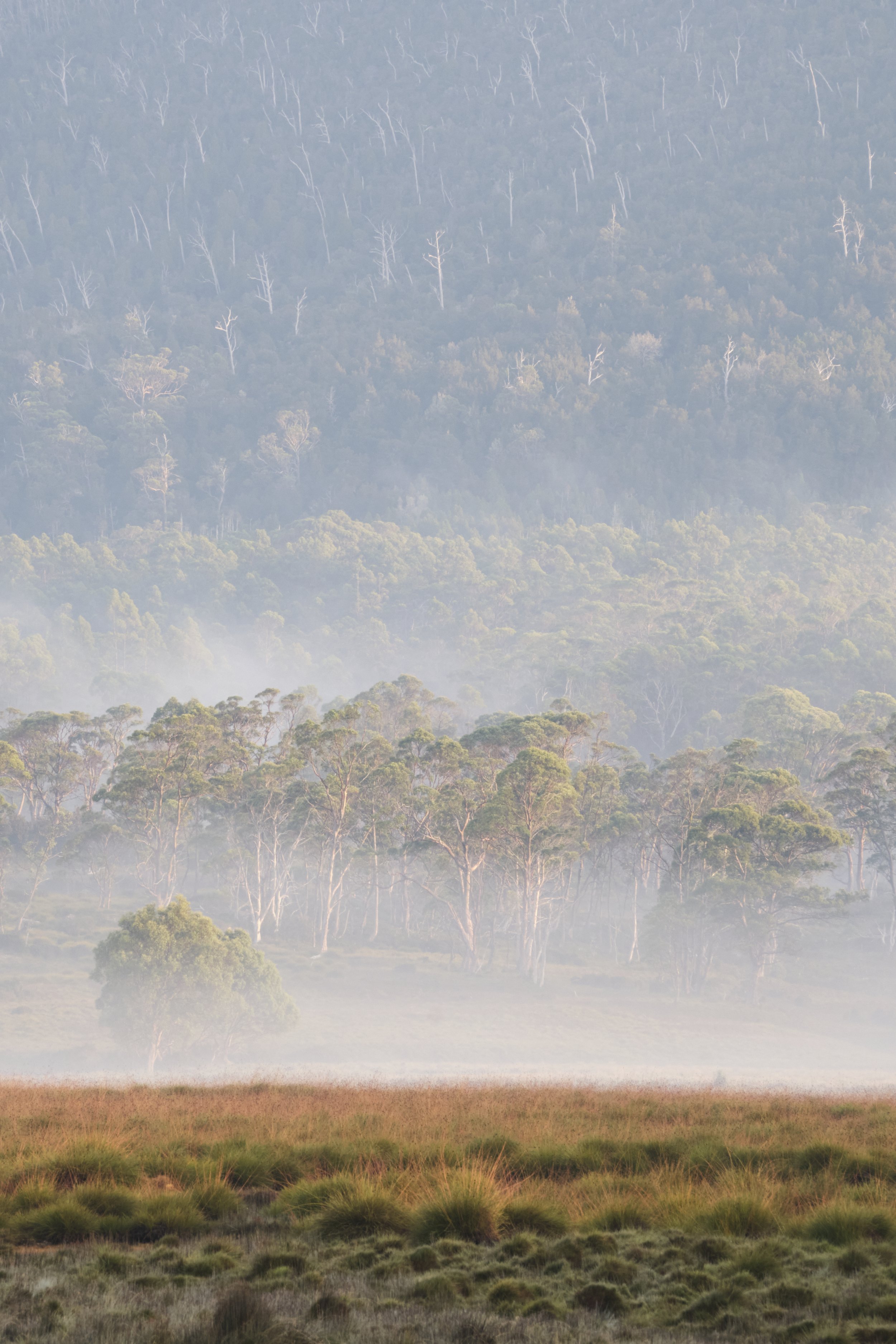 Between Layers — Tim Cooper