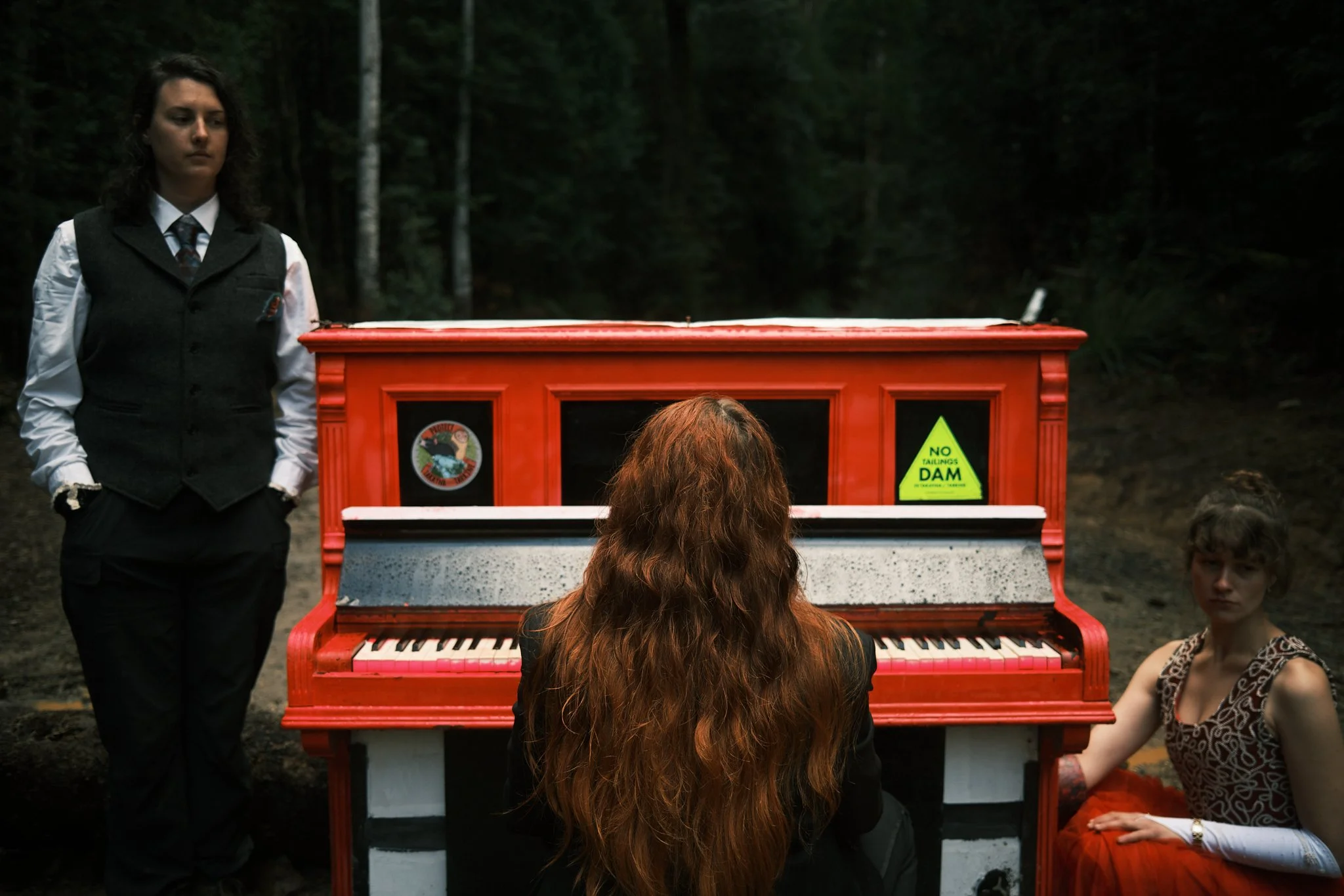 Keys to the Forest — Tim Cooper