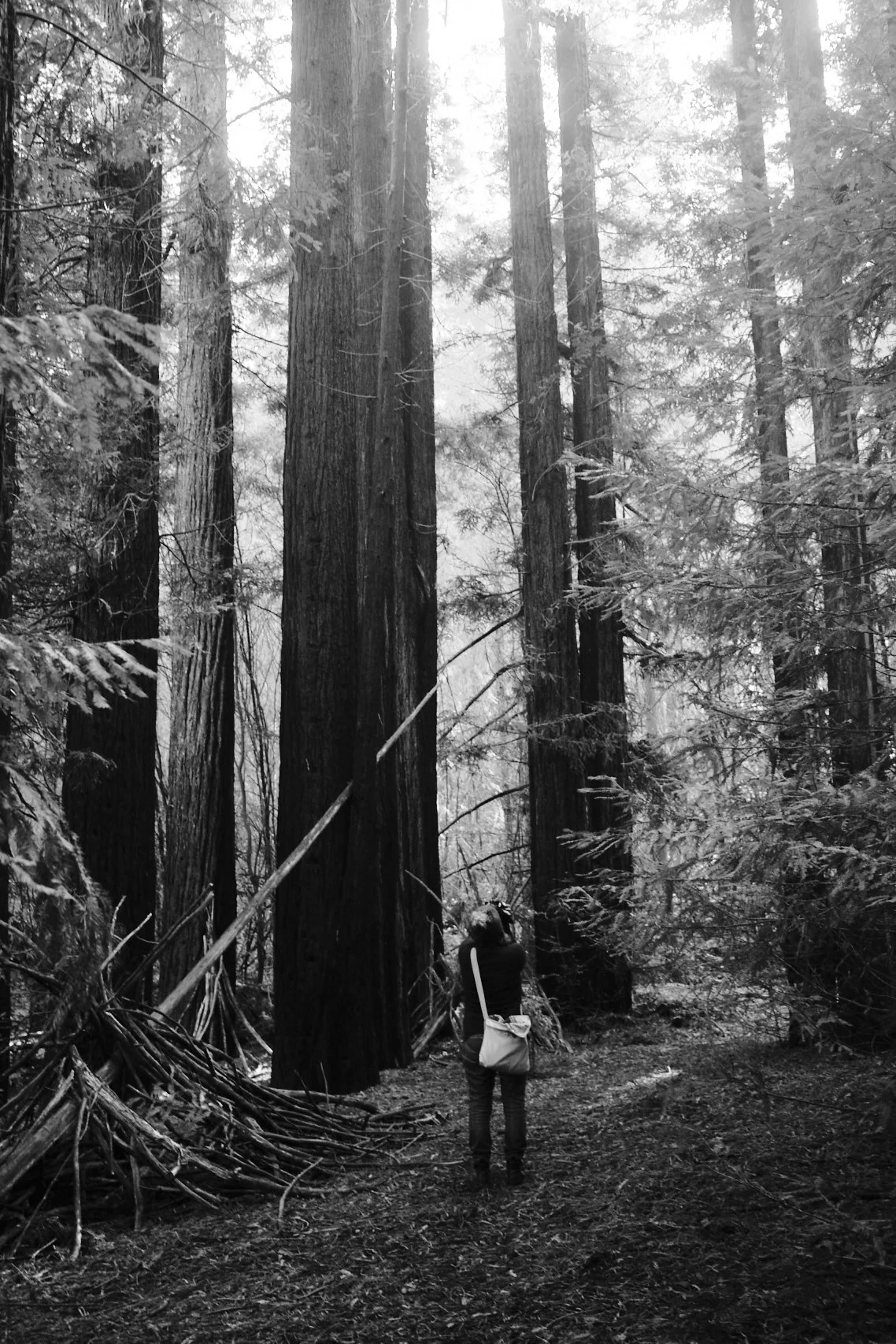 By one's side — Tim Cooper