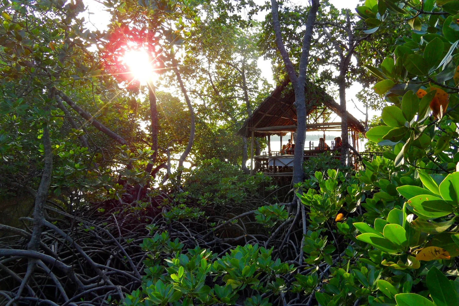 Experiences — Watamu Treehouse
