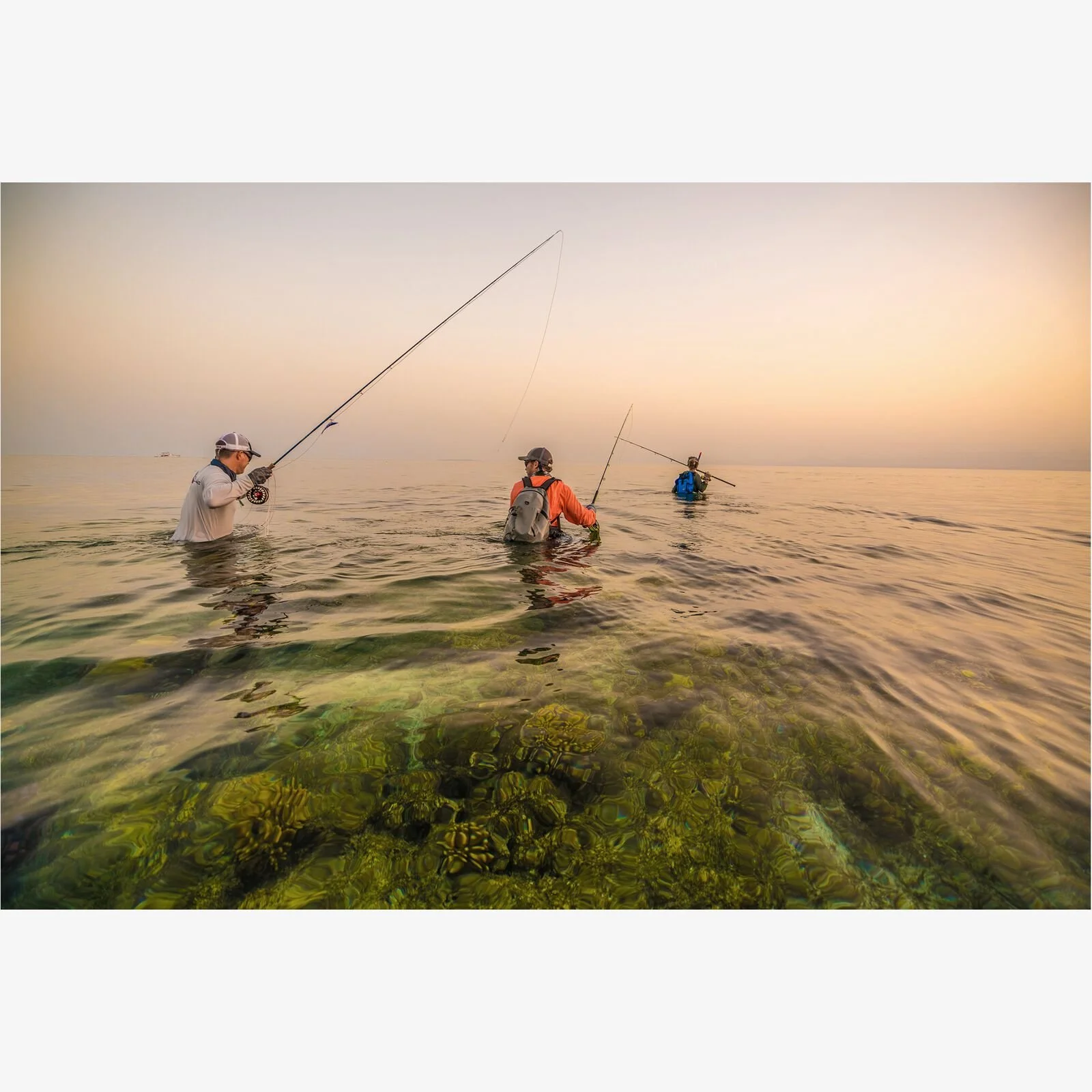 website - Fly Gear Guide