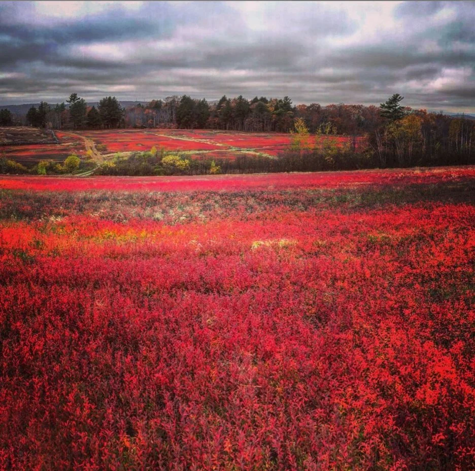 Barren's Distillery + Restaurant
