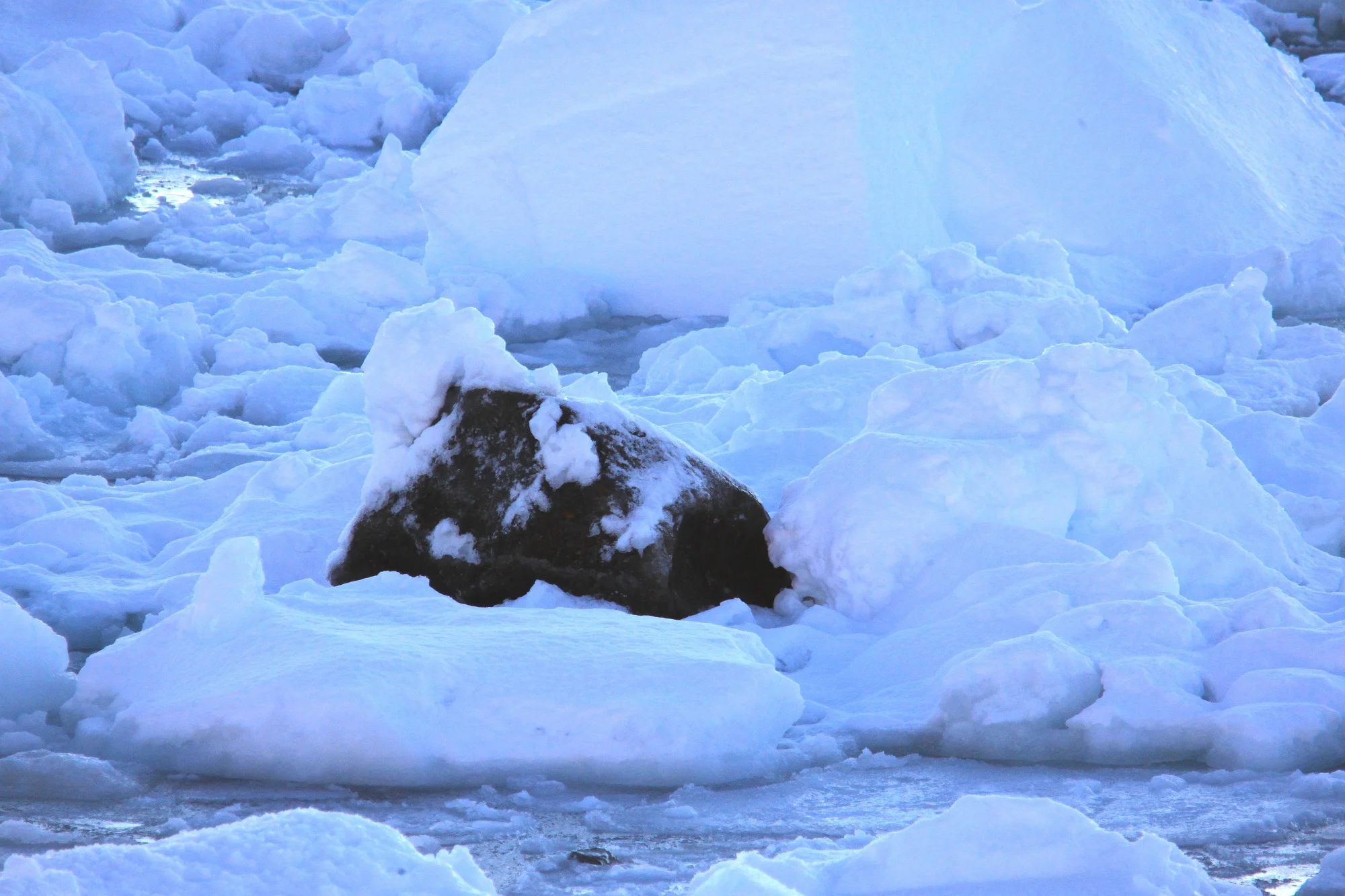 THOR’s Cores Part 2: Digging In — Thwaites Glacier Offshore Research (THOR)