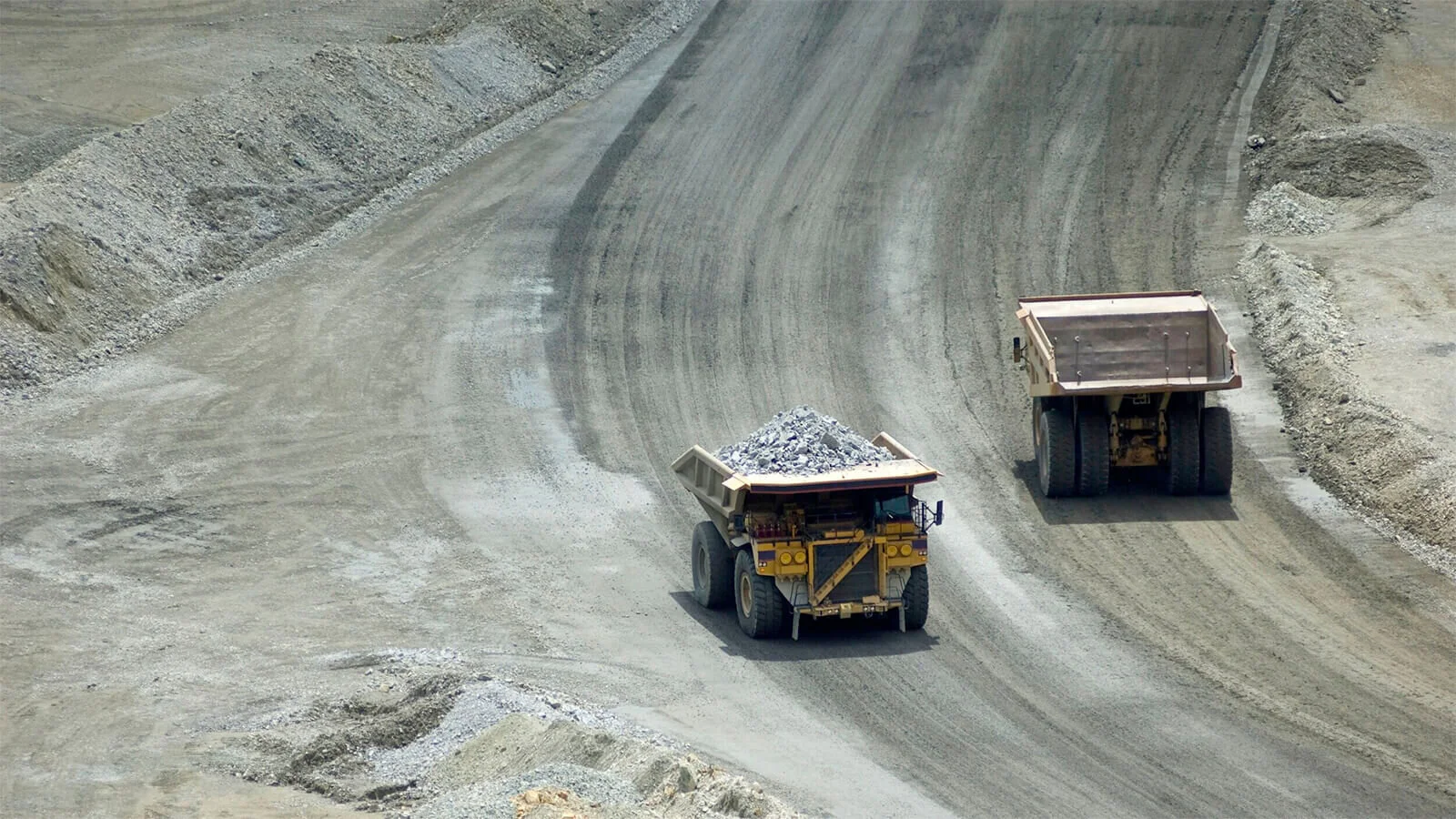 Case Studies — Xenco Services