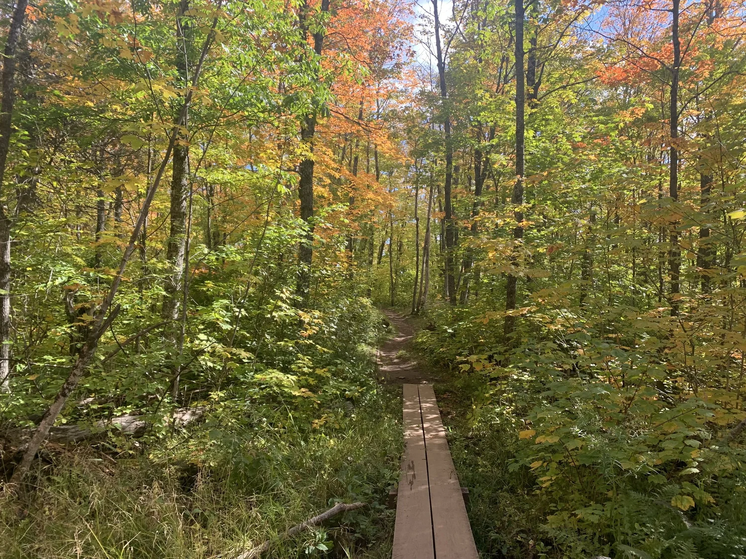 Hiking Oberg Mountain — Nature Impacts Us