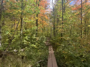 Hiking Oberg Mountain — Nature Impacts Us