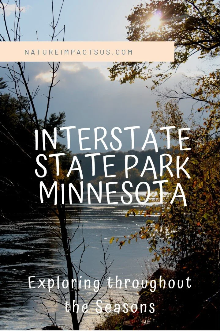 Exploring Interstate State Park - MN — Nature Impacts Us