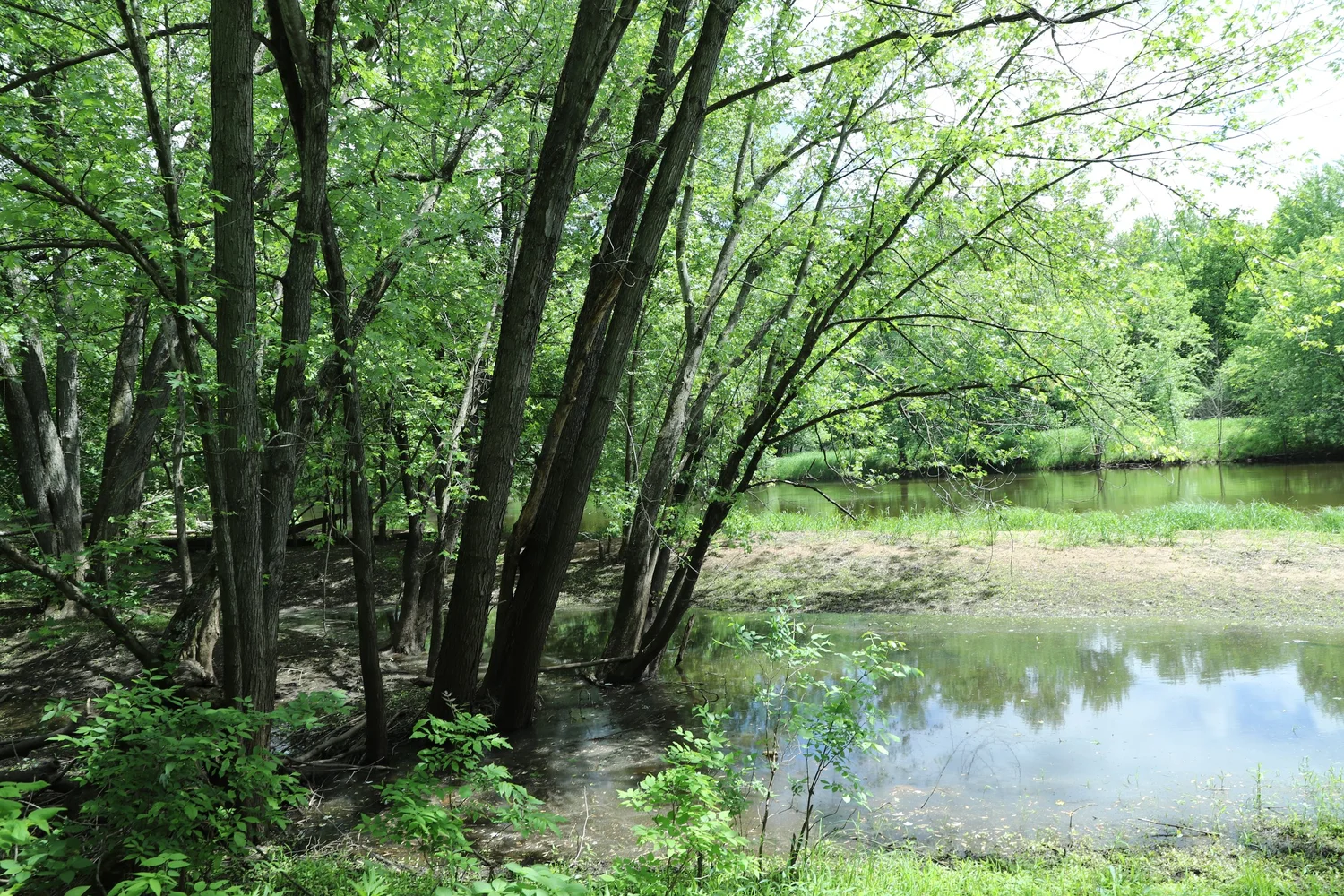 William O'Brien State Park - Minnesota — Nature Impacts Us