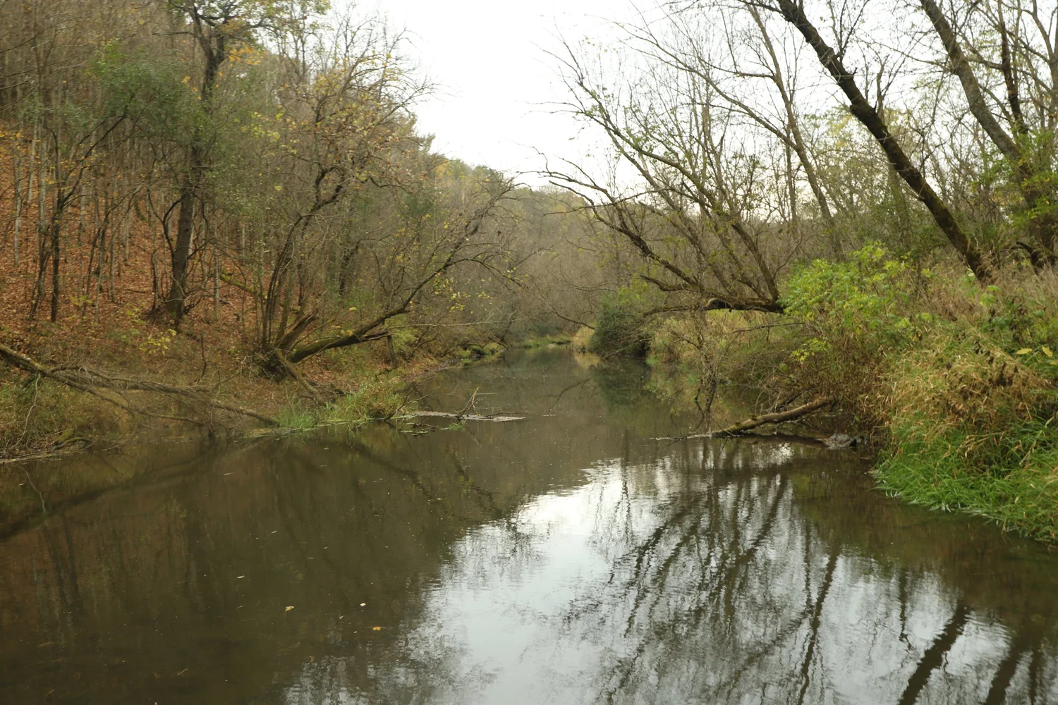 Hiking at Carley State Park — Nature Impacts Us