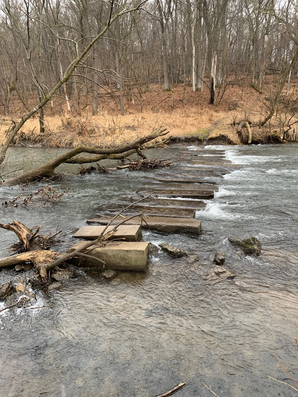 Hiking at Carley State Park — Nature Impacts Us