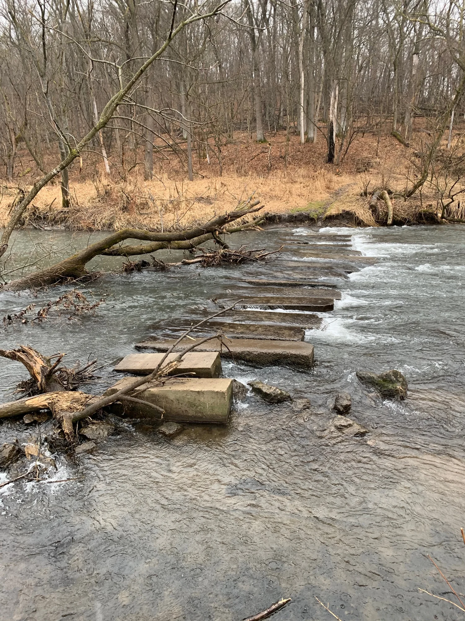 Hiking at Carley State Park — Nature Impacts Us