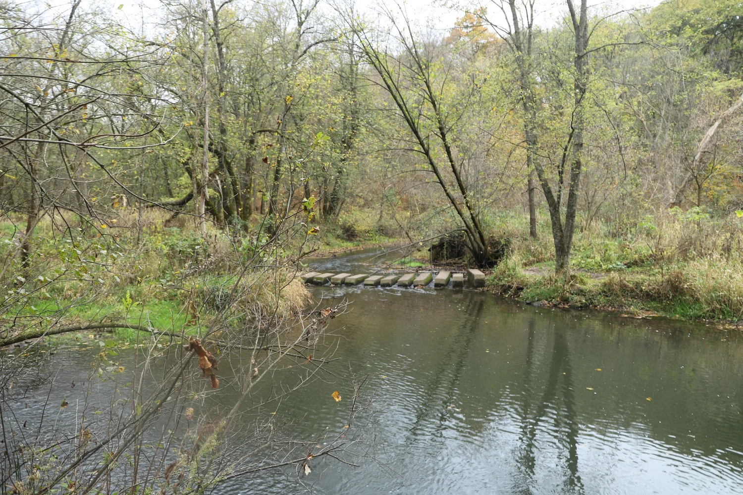 Hiking at Carley State Park — Nature Impacts Us