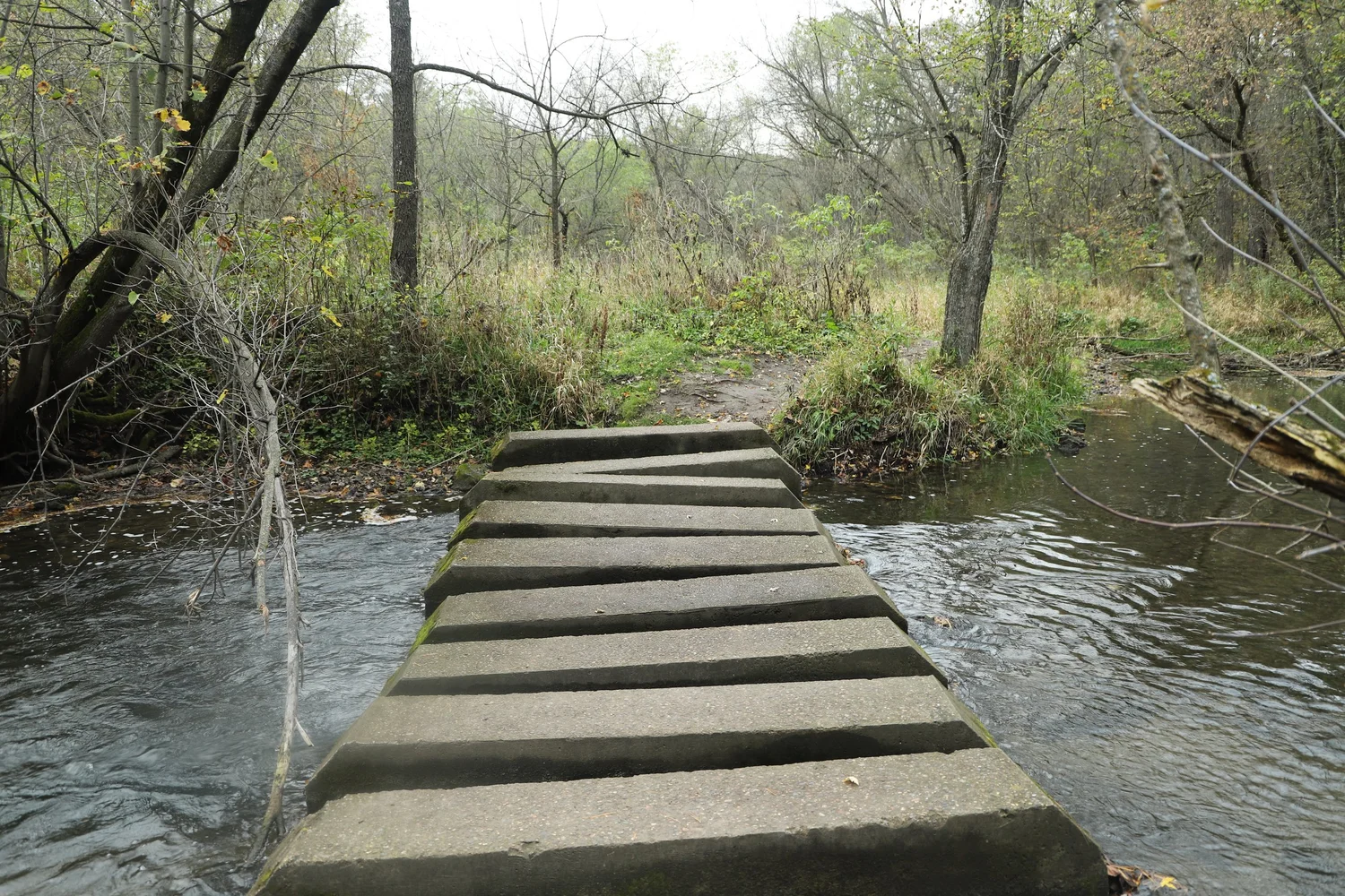 Hiking at Carley State Park — Nature Impacts Us