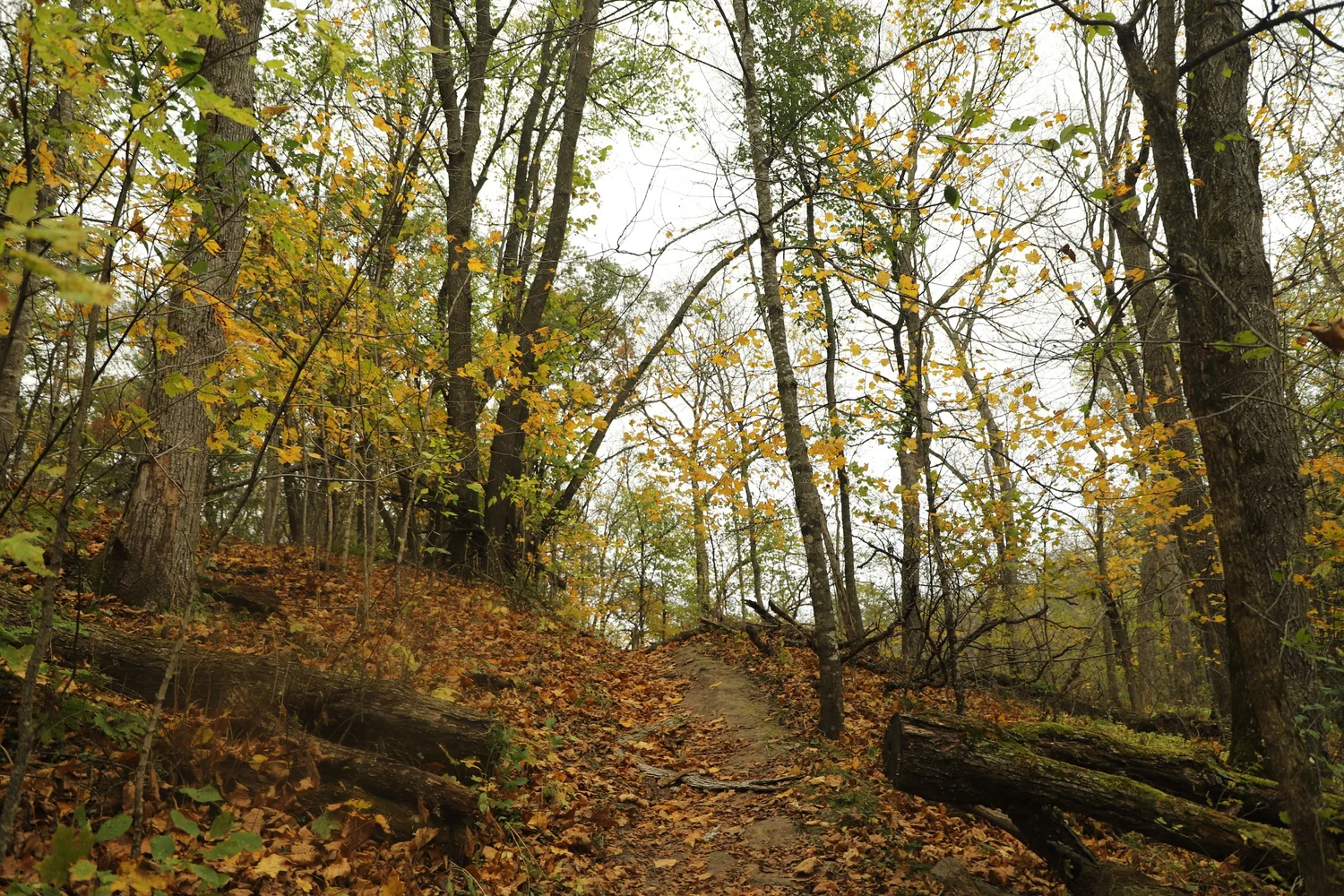 Hiking at Carley State Park — Nature Impacts Us