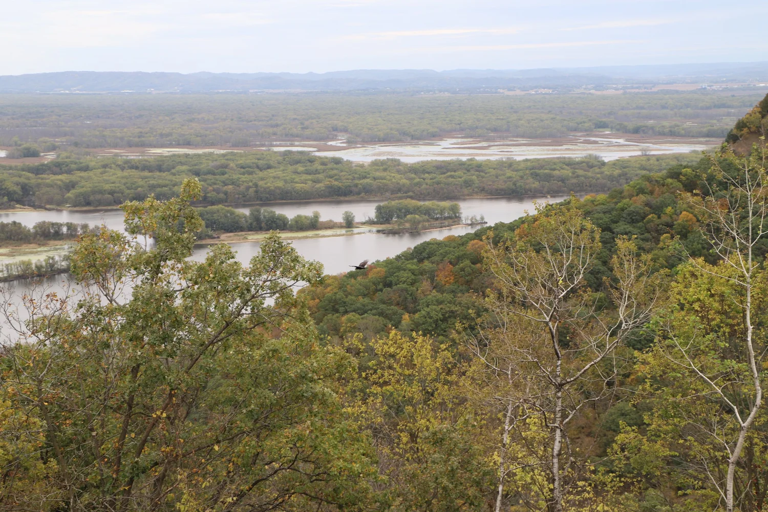 Hiking at Great River Bluffs State Park — Nature Impacts Us