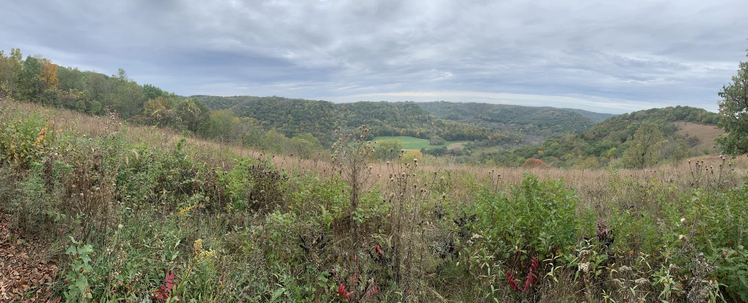 Hiking at Great River Bluffs State Park — Nature Impacts Us