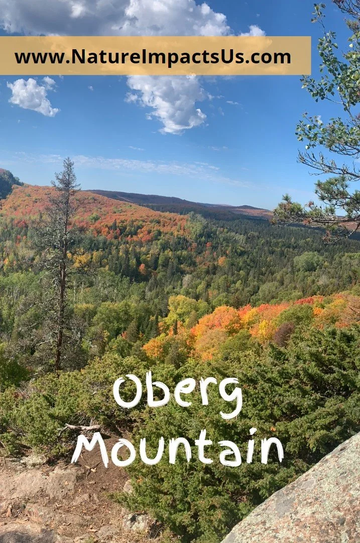 Hiking Oberg Mountain — Nature Impacts Us