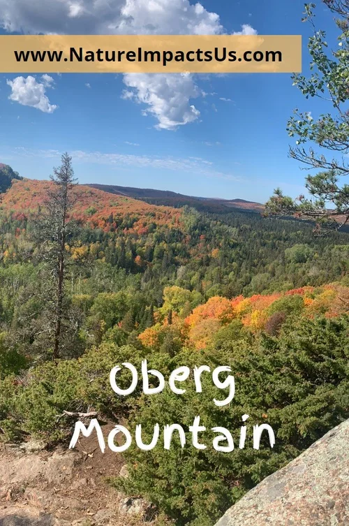 Hiking Oberg Mountain — Nature Impacts Us