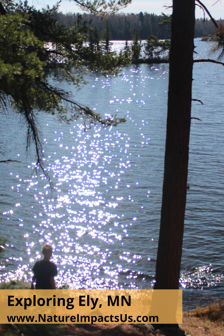Exploring Ely, Minnesota — Nature Impacts Us