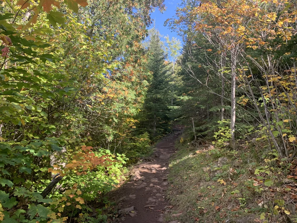 Hiking Oberg Mountain — Nature Impacts Us