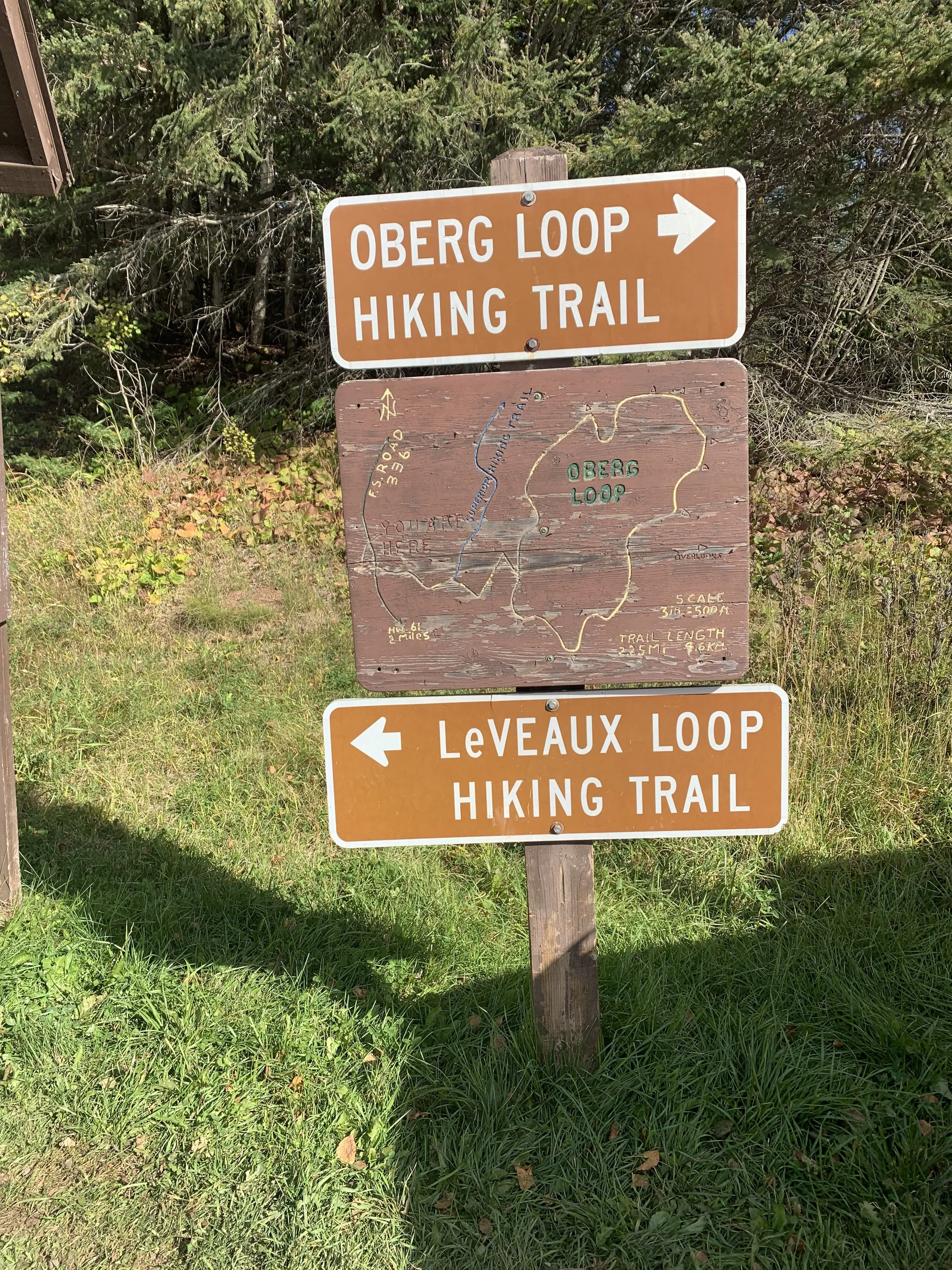 Hiking Oberg Mountain — Nature Impacts Us