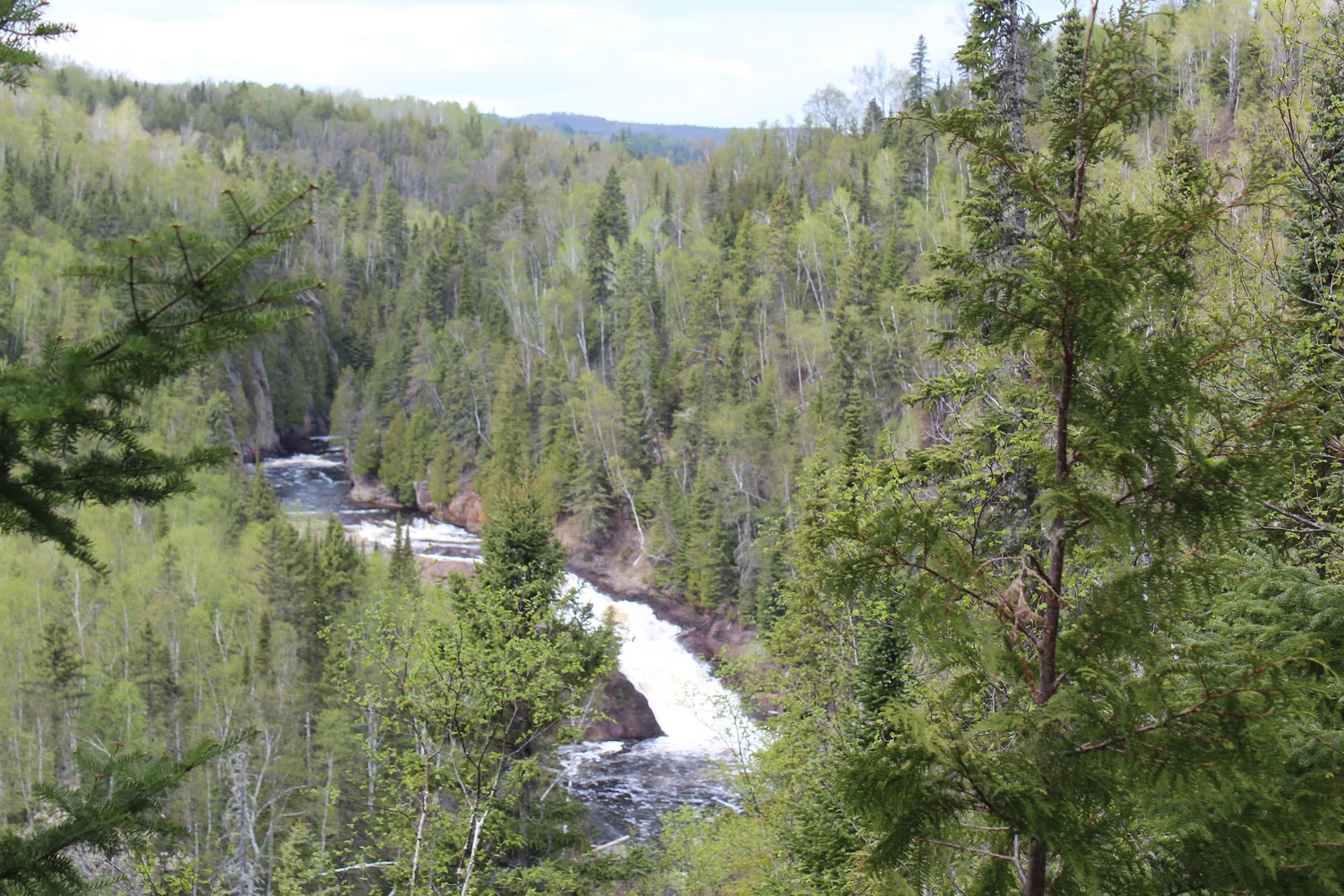 Hiking at Judge CR Magney State Park — Nature Impacts Us
