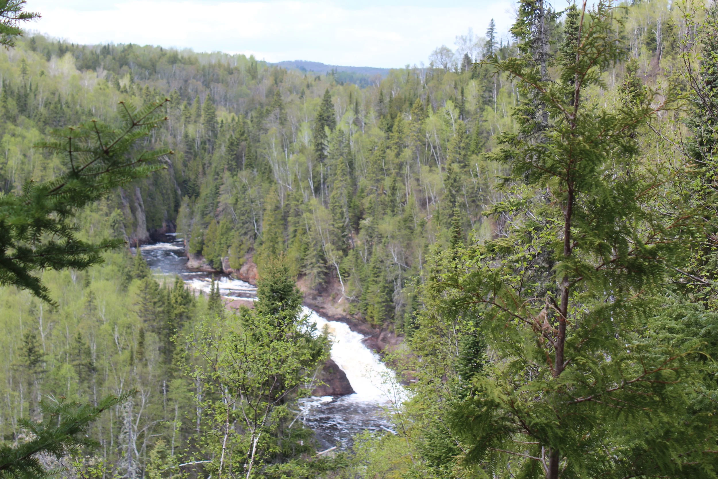 Hiking at Judge CR Magney State Park — Nature Impacts Us